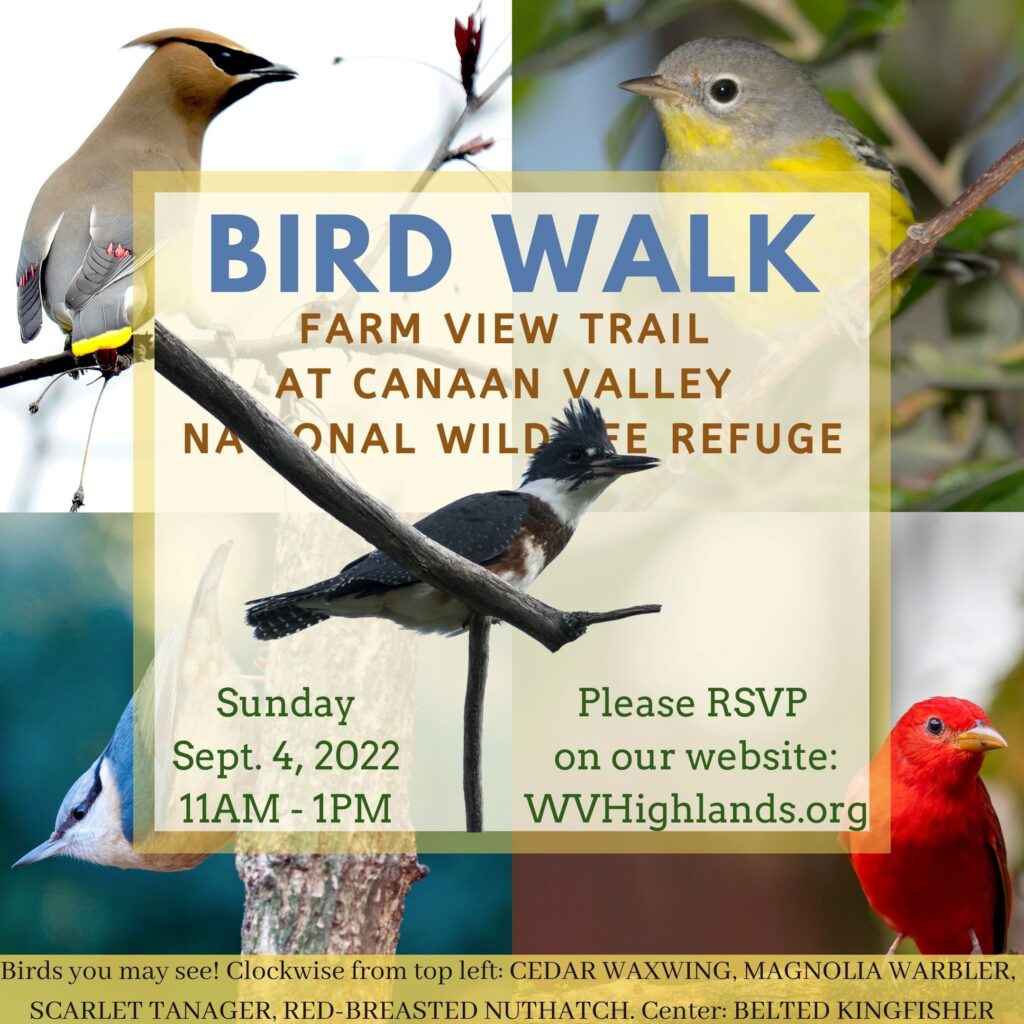 Bird Walk and WV Highlands Conservancy Fall Review