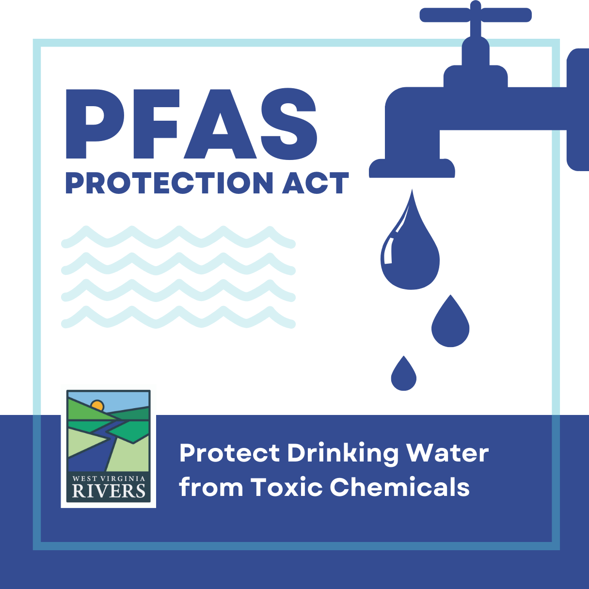 Actions Alerts and Online Events: Get involved today!