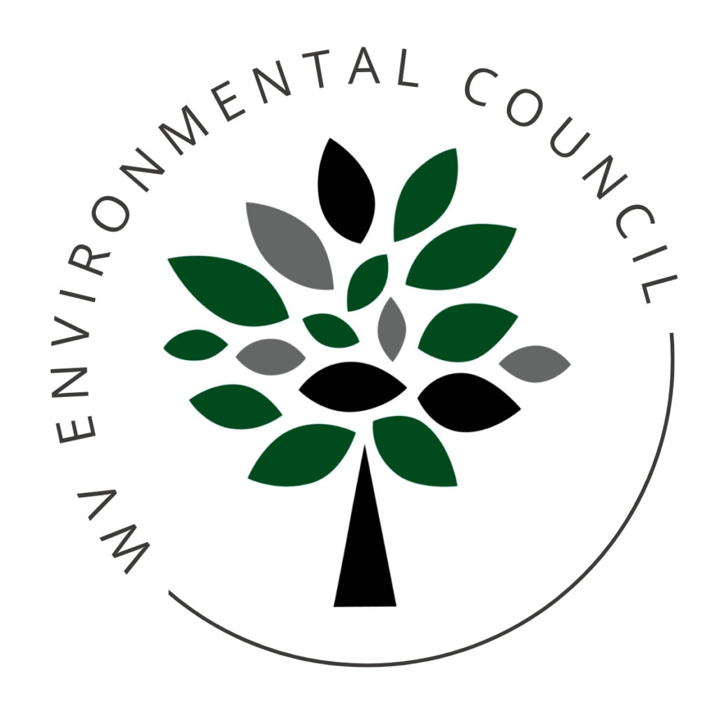 Engage with Candidates this Primary Season!